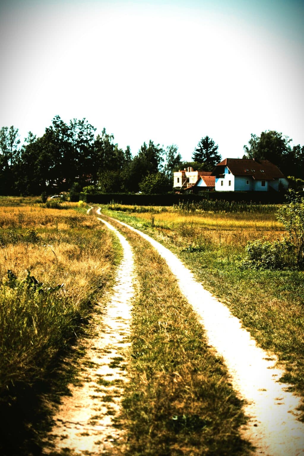 Chemin rural : la commune doit-elle l'entretenir ? - Arego Avocats